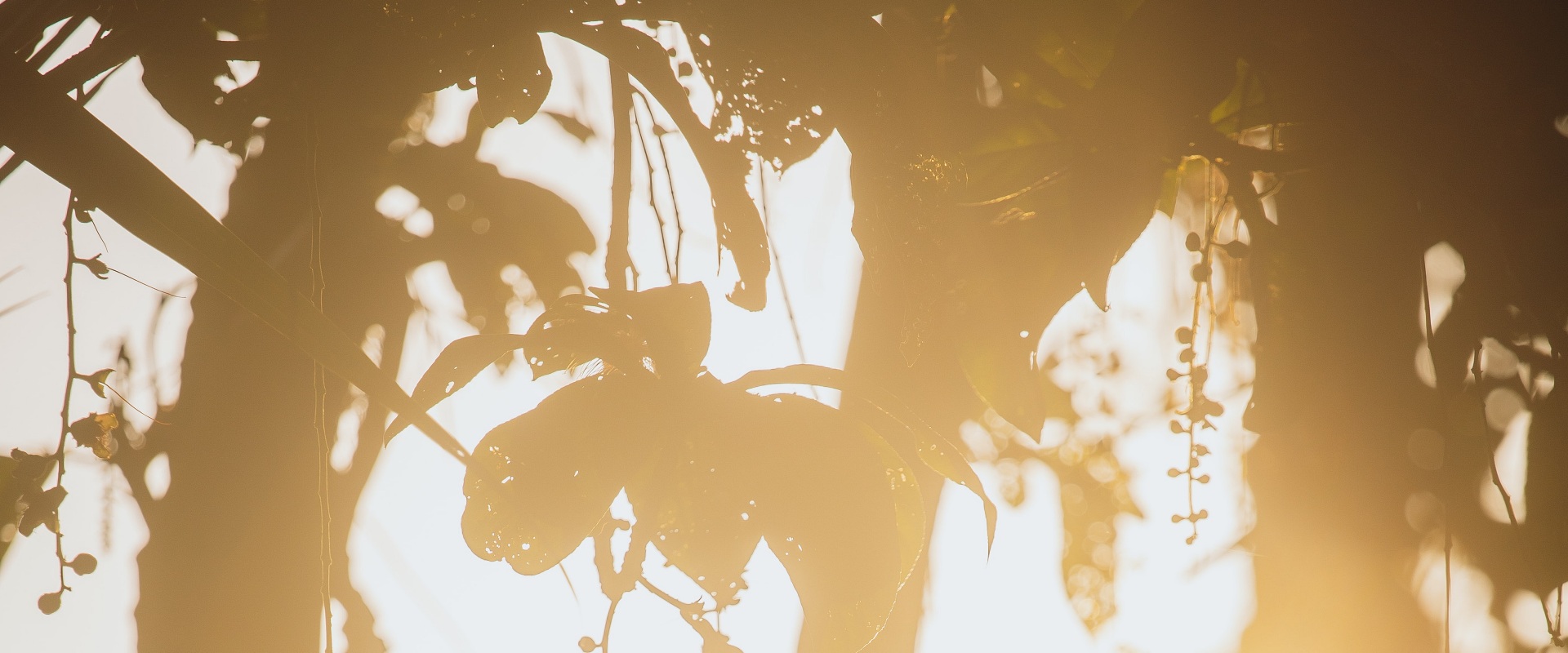 What Is Workplace Community Building and How It Fosters Diversity and ...