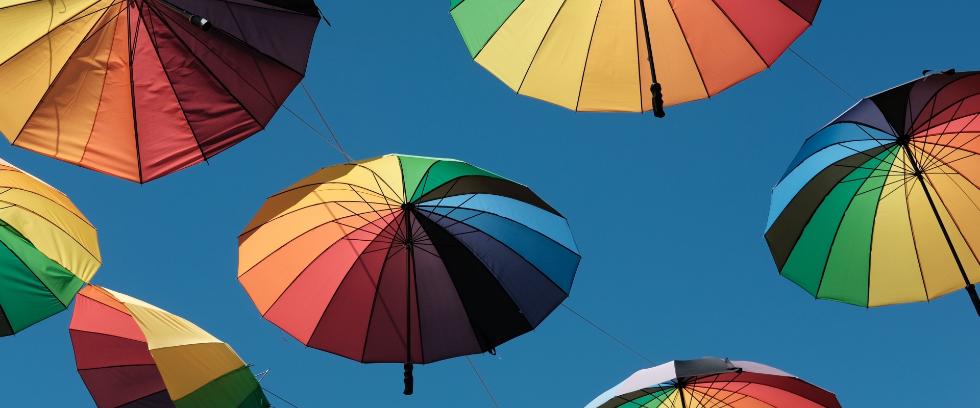 The Business of Change | Olwen Smith | tbd.community